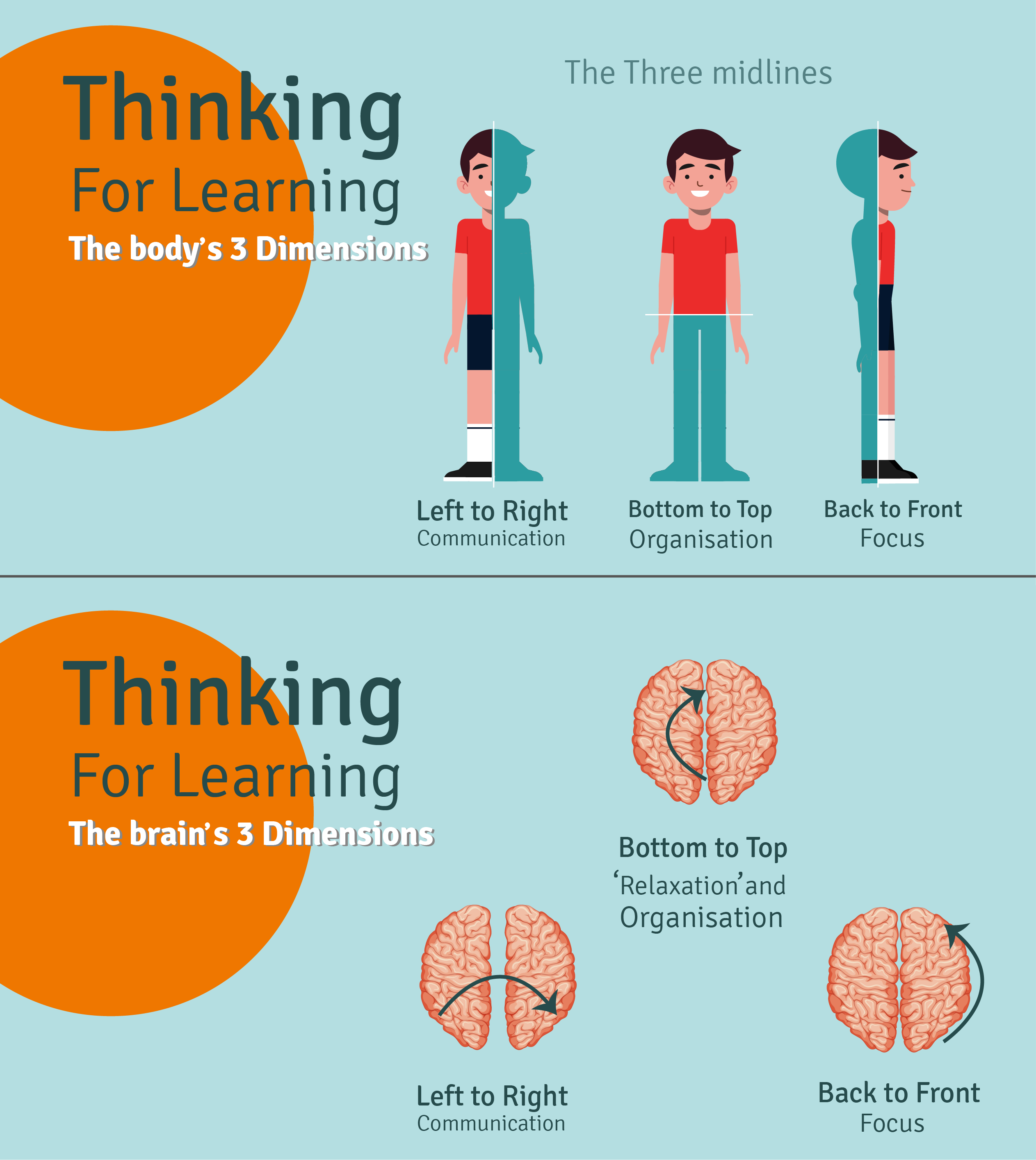 Mind Skills Development Centre & Dyslexia & learning